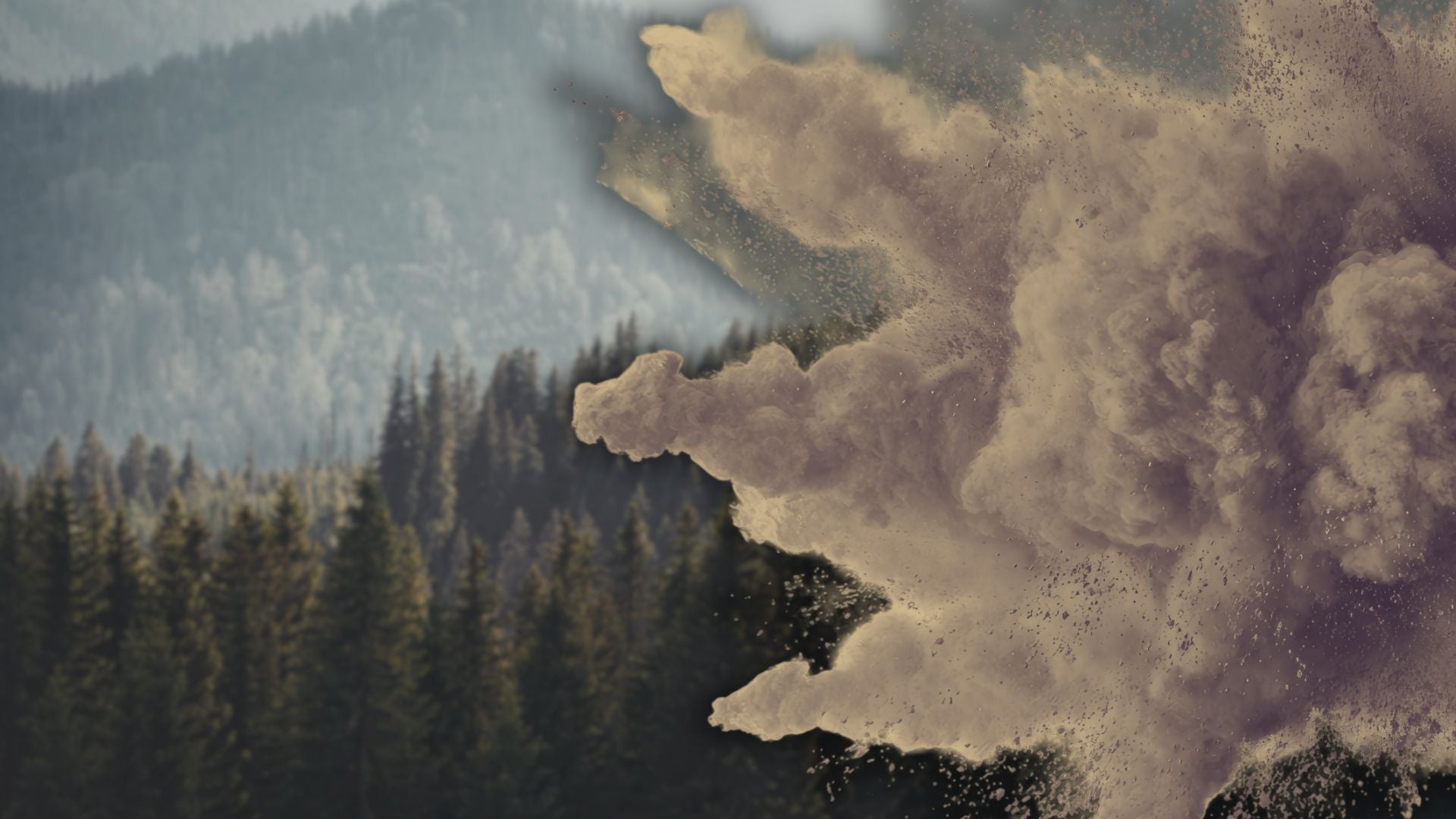 Exploding trees aren’t a mystery. Indigenous cultures have been ...