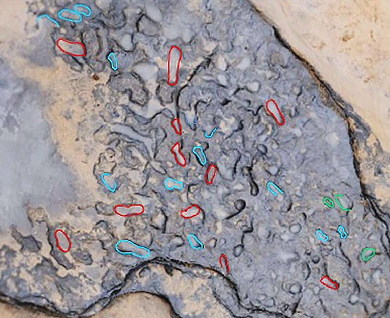 Archaeologists Found a 800,000-Year-Old Human Footprints Under UK Sand ...