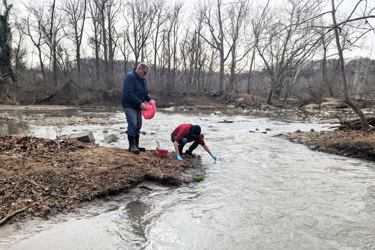 Massive sewage spill flowing into Potomac River upstream from Washington