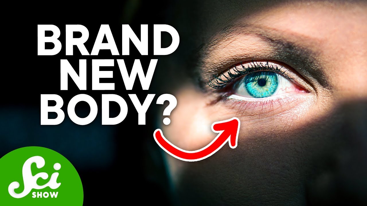 The 4 new body parts recently discovered