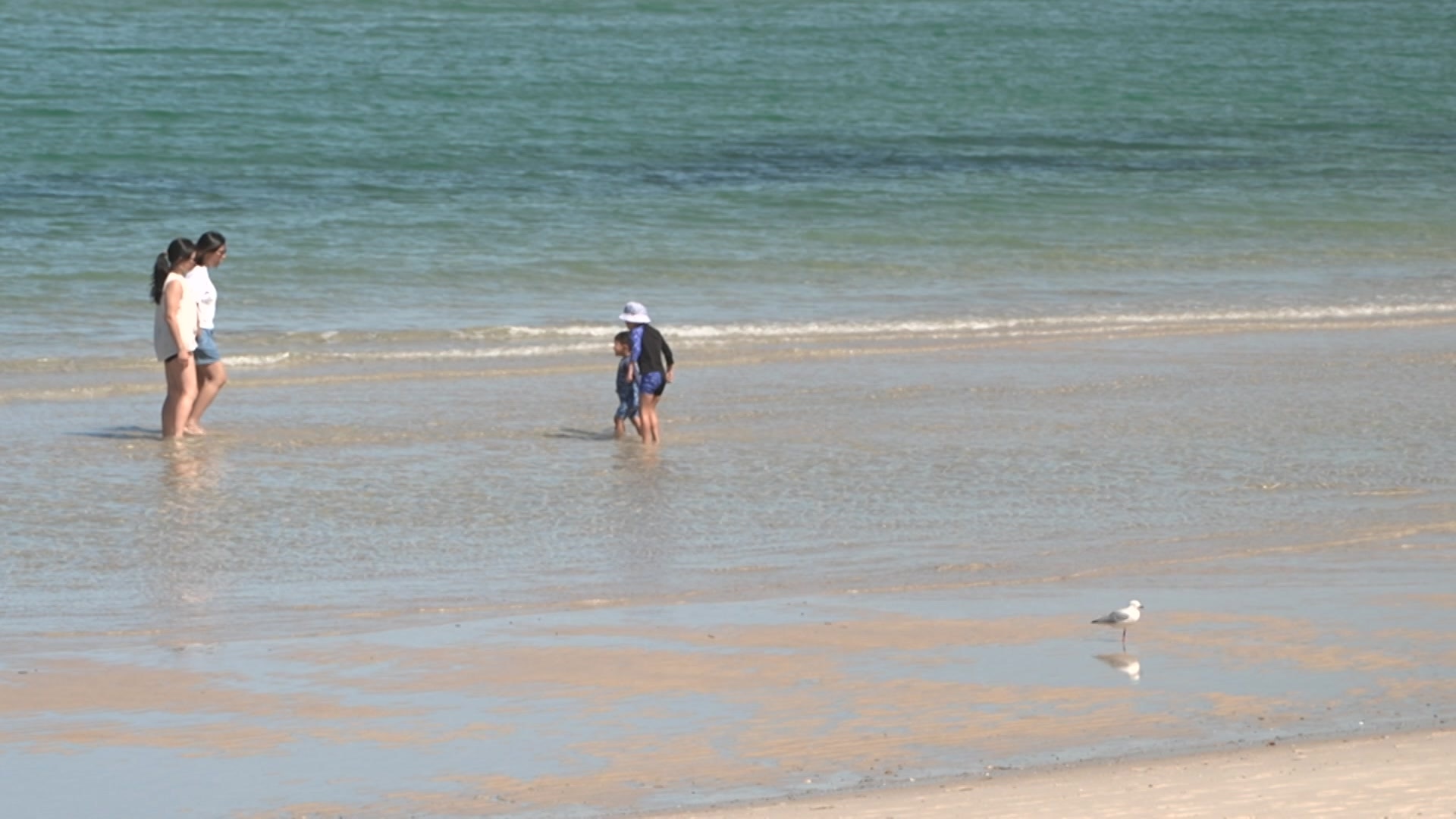 SA heatwave leads to total fire bans, catastrophic conditions and Tour ...