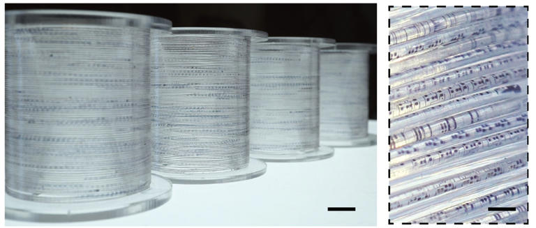 Chinese scientists shrink semiconductor chip into fibre as thin as ...