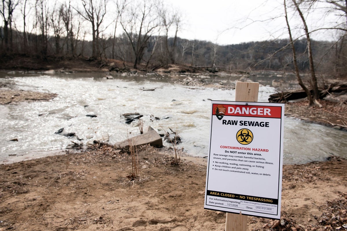 E coli levels ‘dangerously high’ in Potomac River after sewage spill