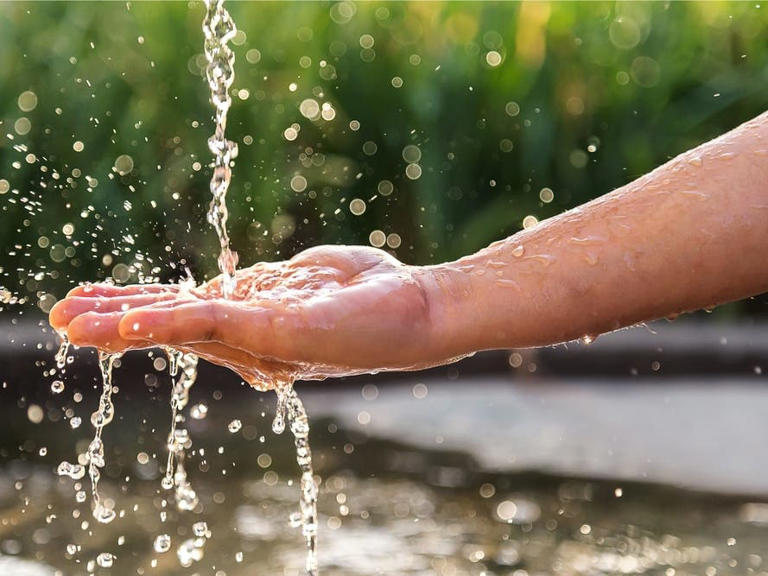 Water testing to limit restrooms and drinking fountain availability in ...