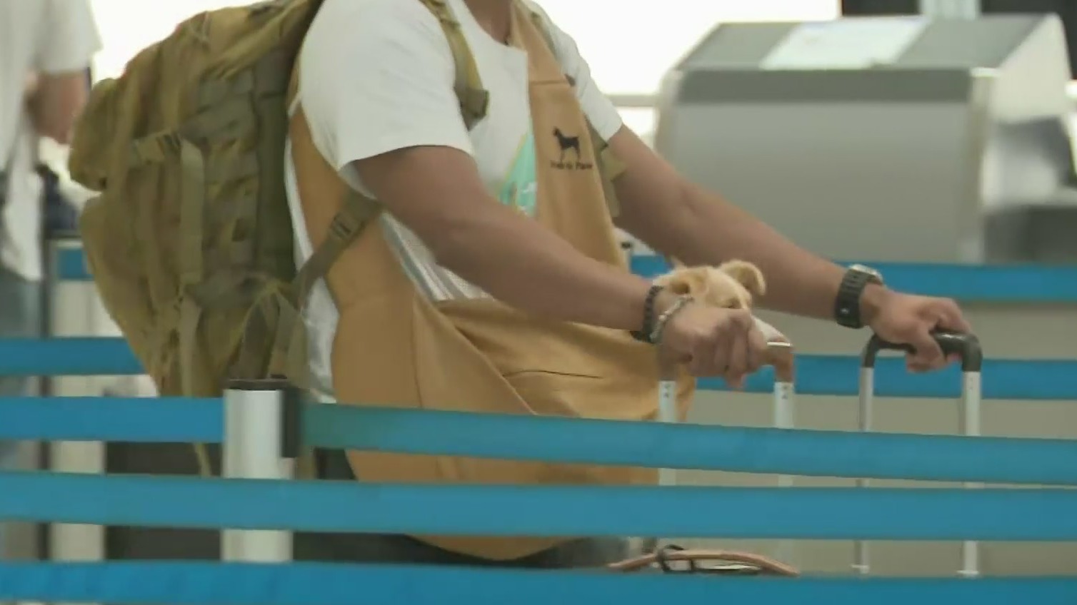 Flights canceled across Miami and Fort Lauderdale airports as most of ...