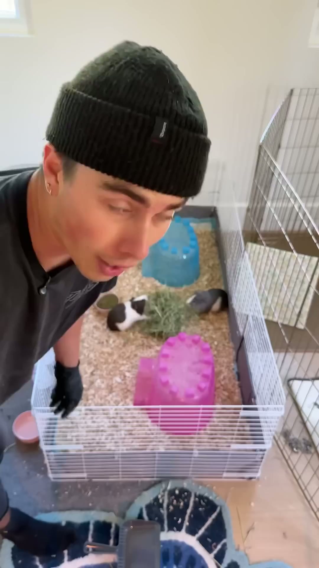 6 animals, 1 big mess 😅