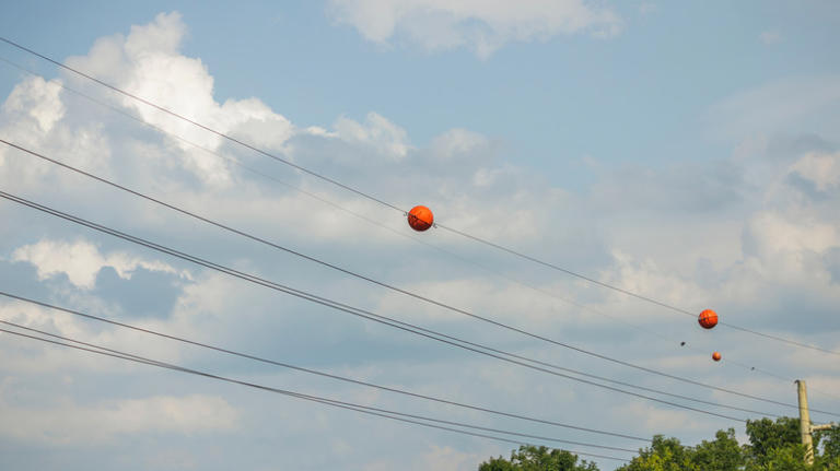 Why do power lines have orange balls on them?