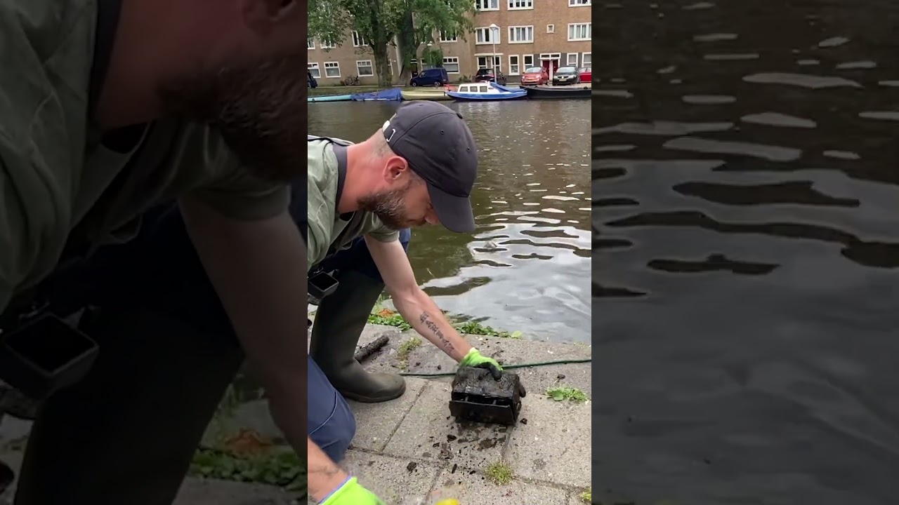 I found something amazing out there! 😲