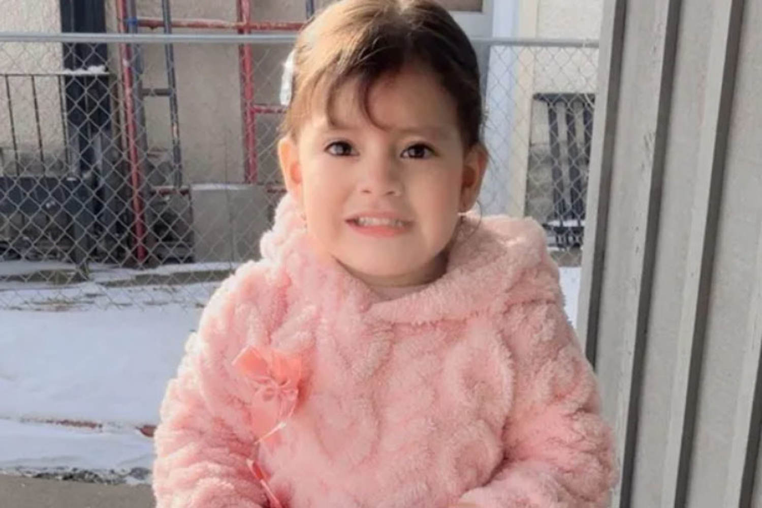 2-year-old girl and father taken by ICE in Minneapolis, local lawmaker says