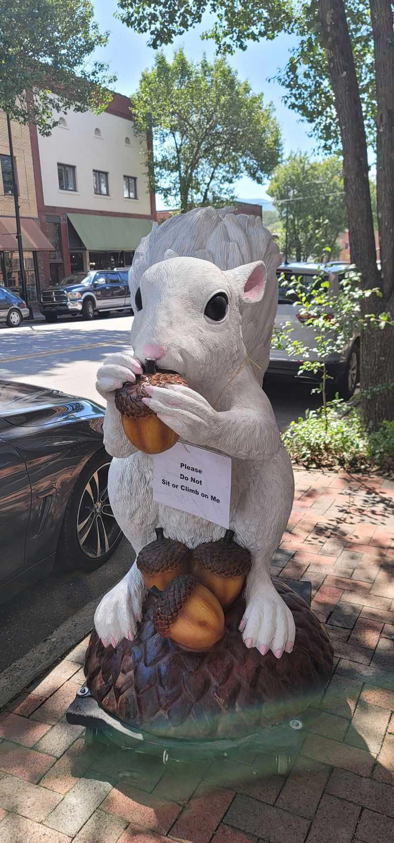 Step into a storybook: North Carolina’s most creative mountain town