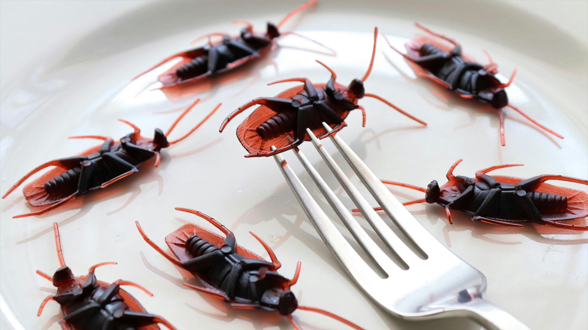 10 reasons we’ll soon all eat bugs and 10 reasons it’ll never catch on