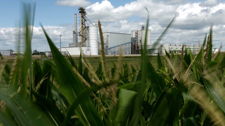 'Exasperated': Iowa corn growers push back after Congress drops E15 ...