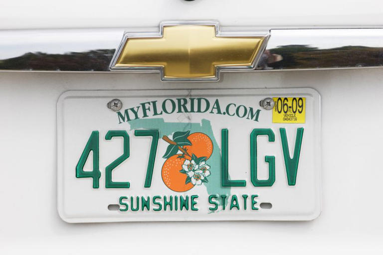 Florida House passes bill to get rid of yellow license plate ...