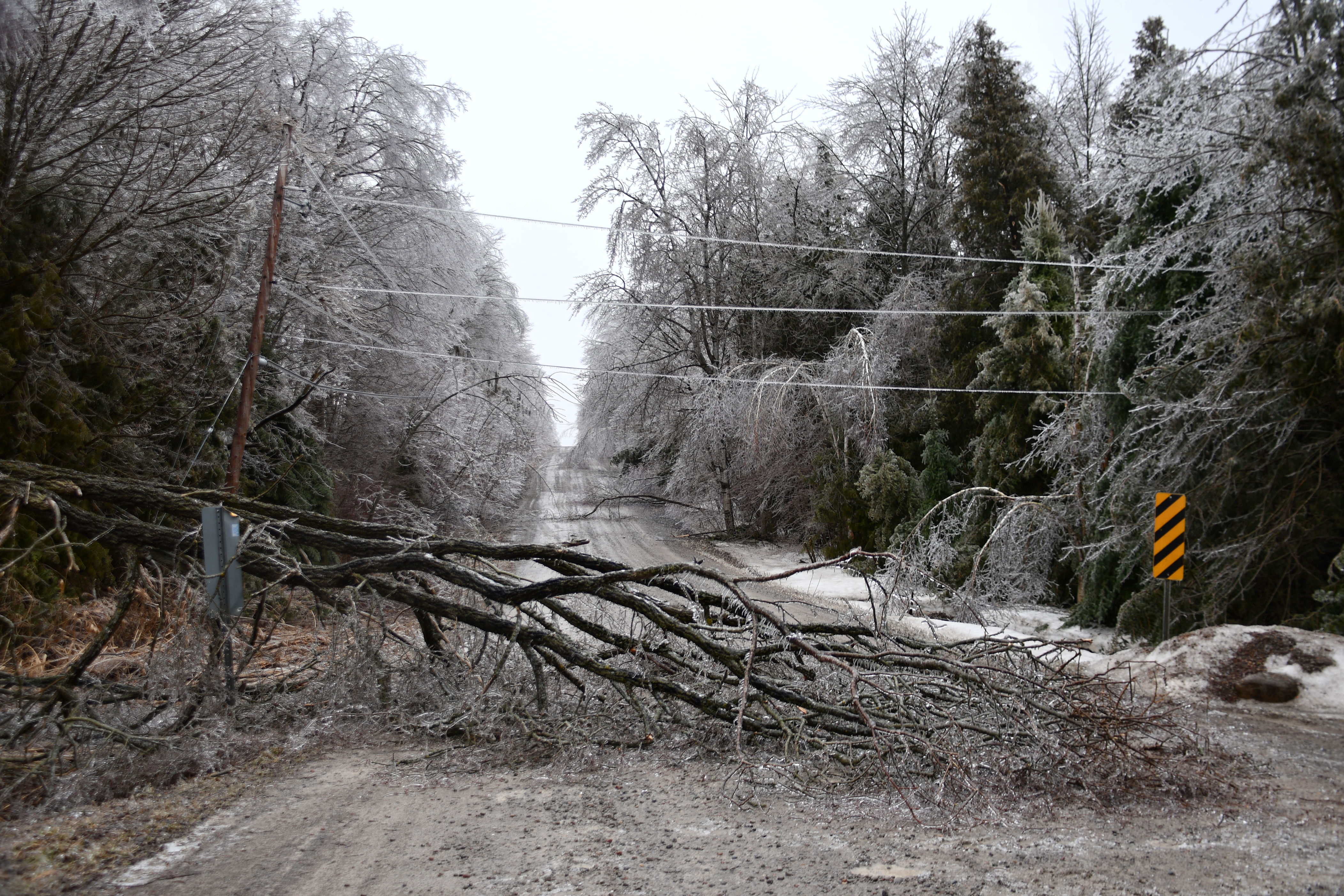 Winter storm map shows snowfall totals for each state