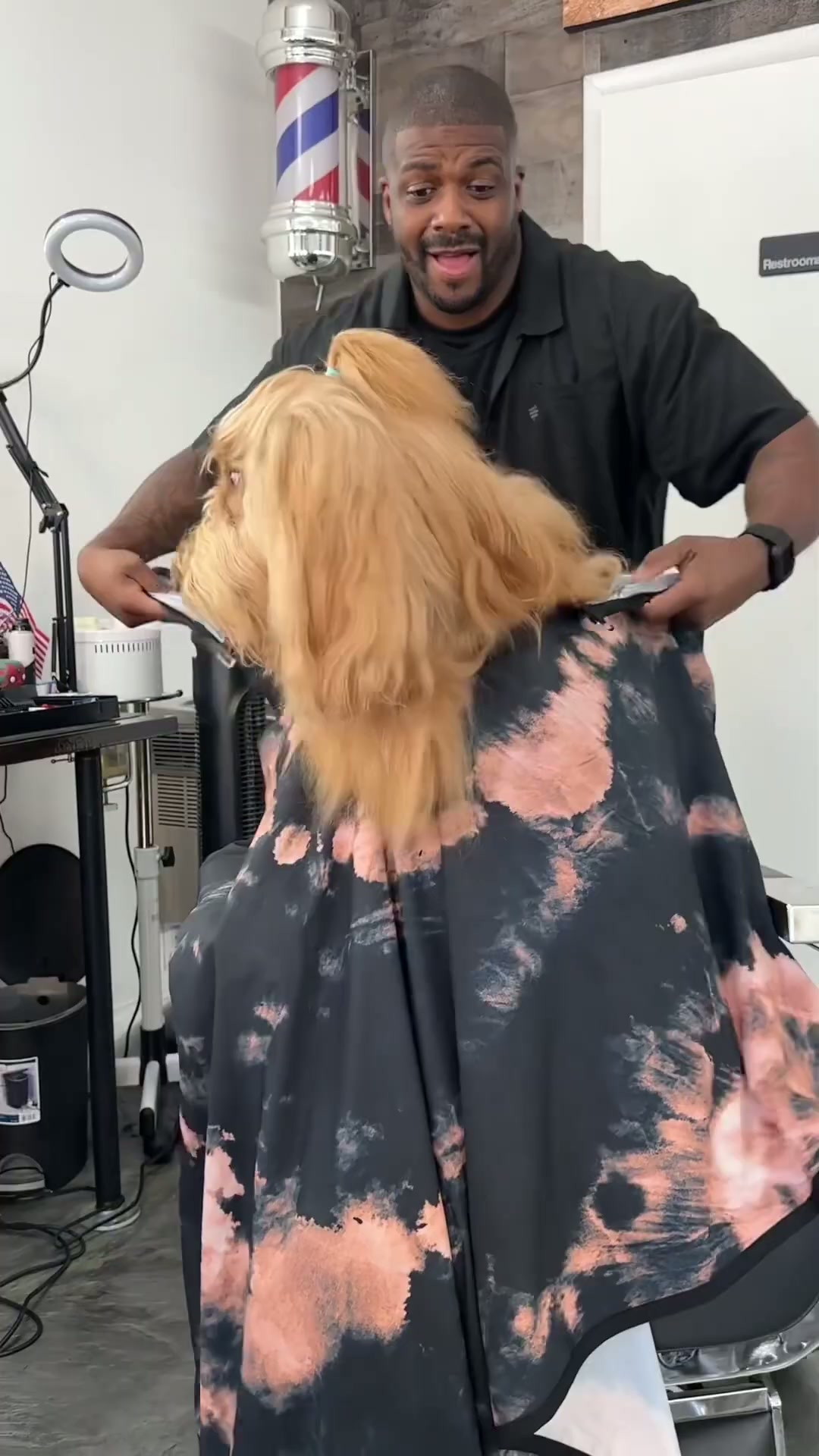 The hairiest client to ever go to the barbershop @floofbybrodie # ...