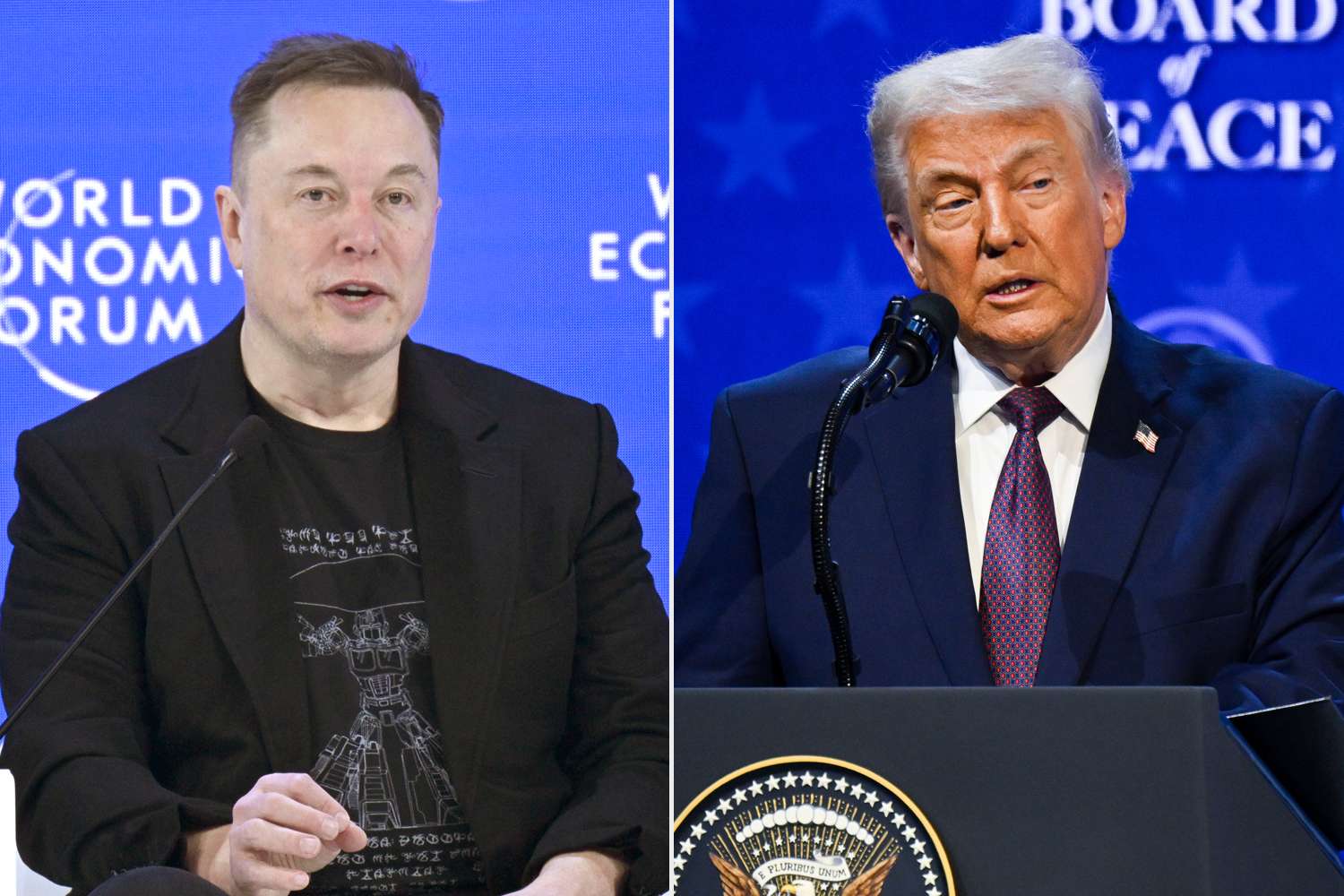 Elon Musk makes joke about Trump's board of peace, prompting confused ...
