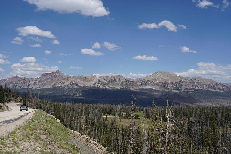 She lay unconscious on a mountain — then her tiny dog saved her life