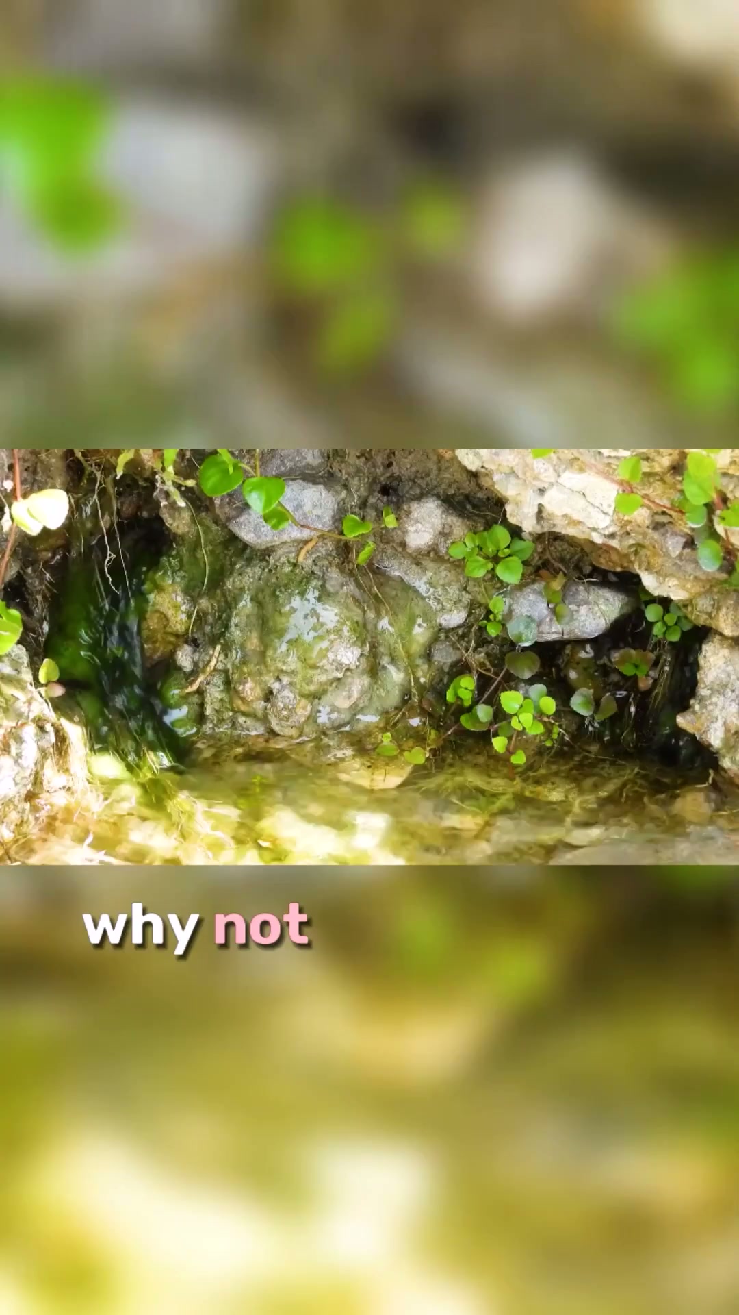 Build the most beautiful underground water swimming pool temple