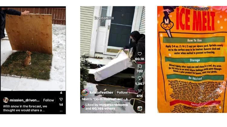 Winter Storm Preps: An outside place for the pooch to potty, DIY step ...