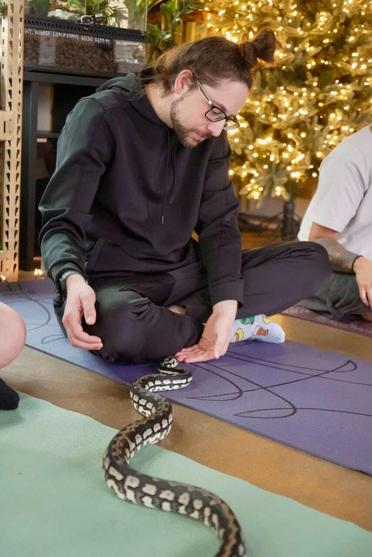 Snake yoga is officially a thing in Portland, and it’s selling out fast