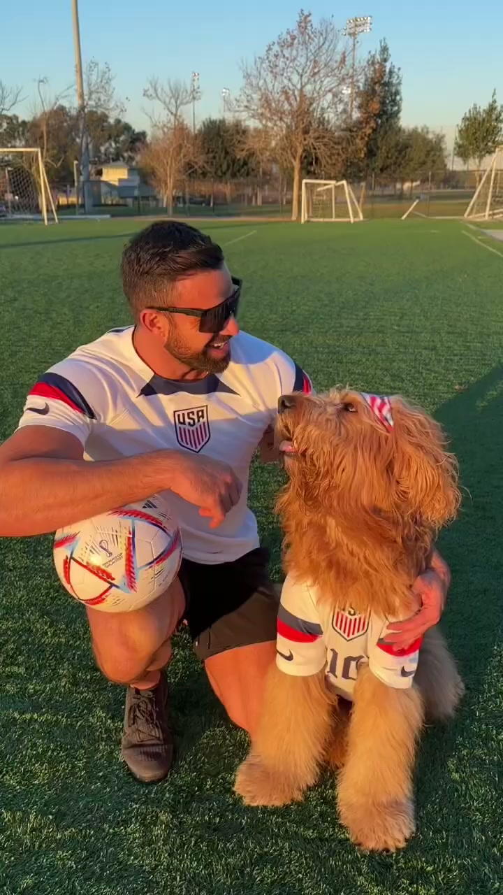 Don't treat your dog like a human child! #dogdad #goldendoodle #petparent