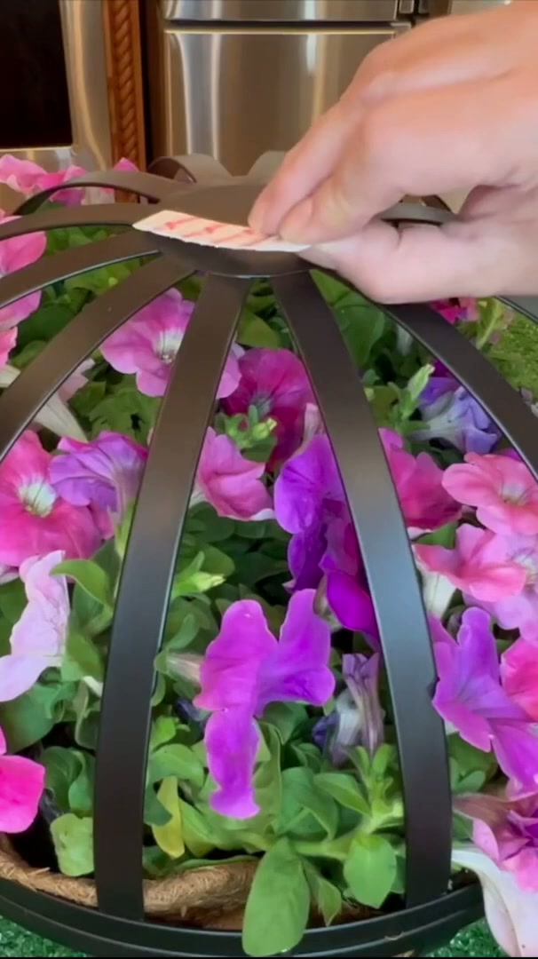 Zip tie two hanging baskets together...😍