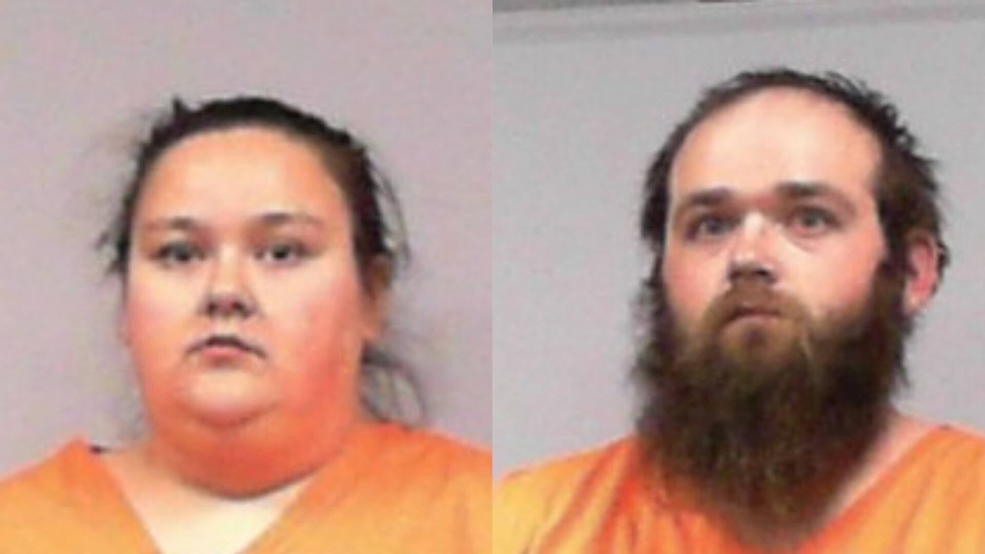 Grafton couple arrested after 16 animals found dead