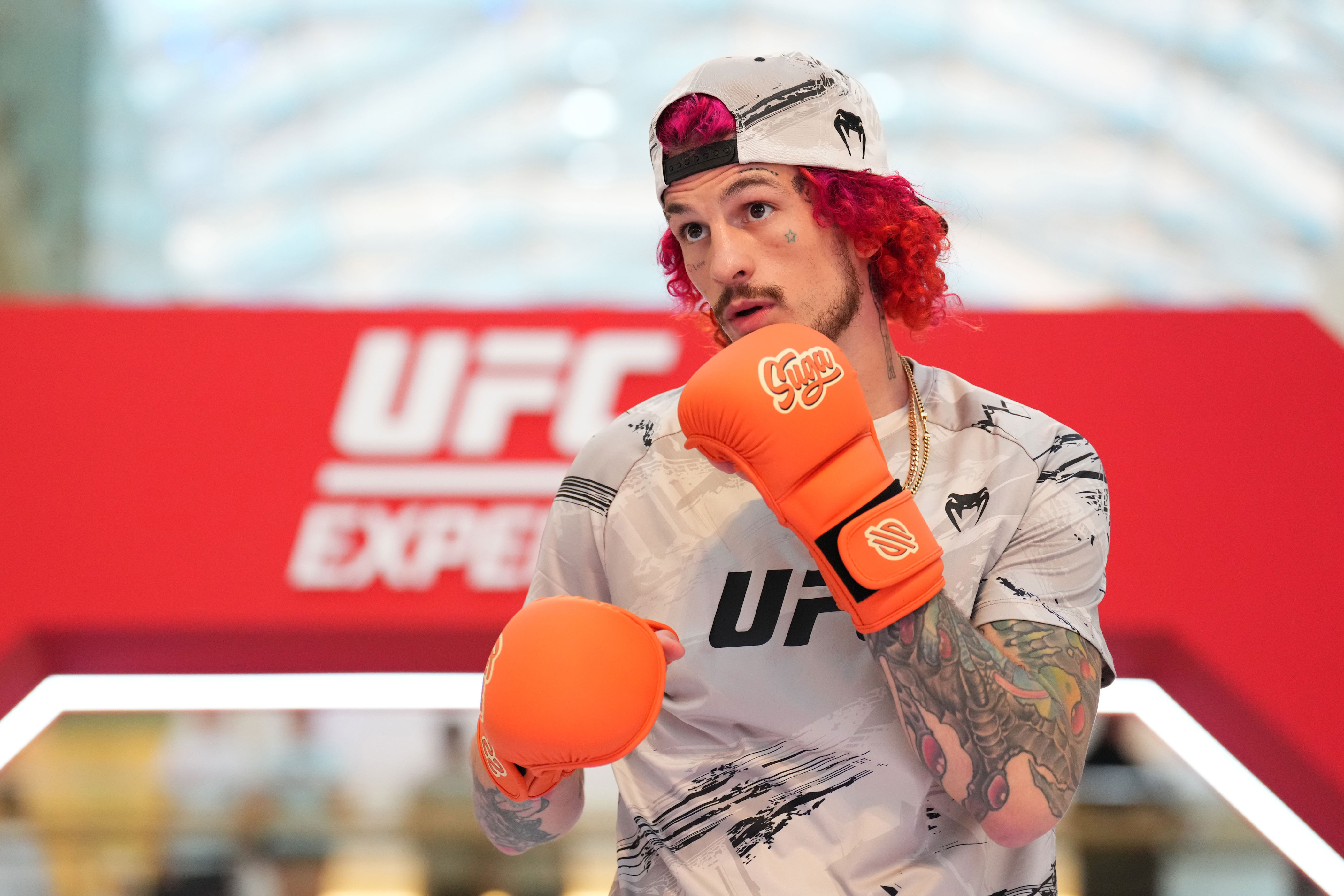 UFC 324’s Sean O’Malley vows to ‘headline Zuffa Boxing’ — here’s what ...