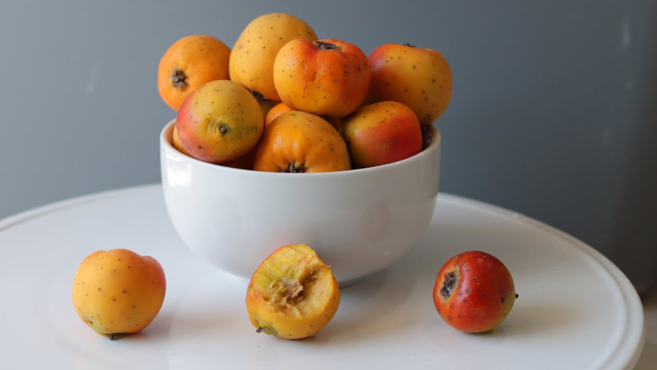 How to eat tejocote | Mexican hawthorn | Taste test