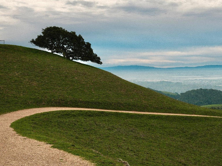 Vargas Plateau Regional Park: Photo of the day