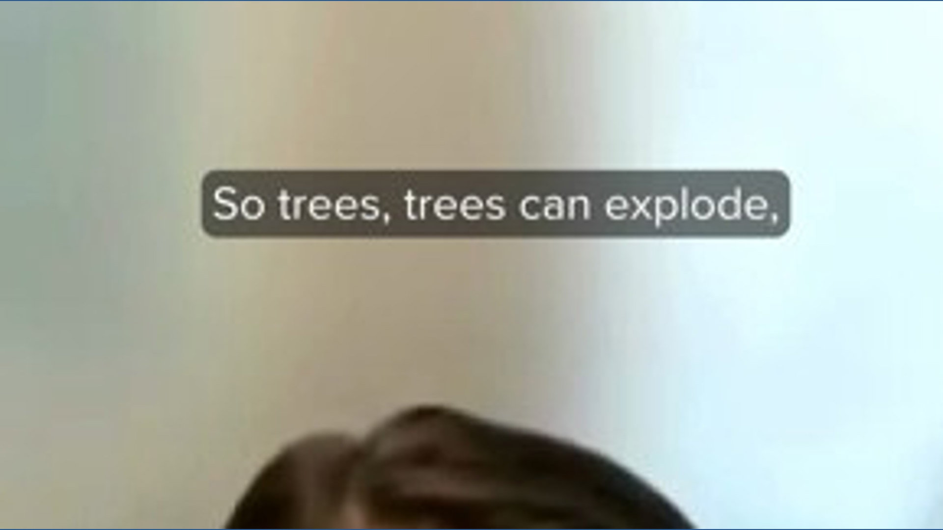 Can trees actually explode when the temperatures drop?