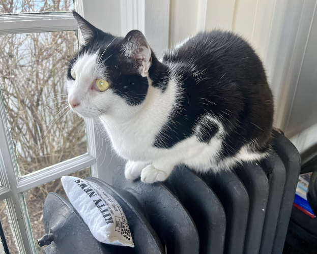 Ex-Uvalde school cop acquitted in mass shooting response case