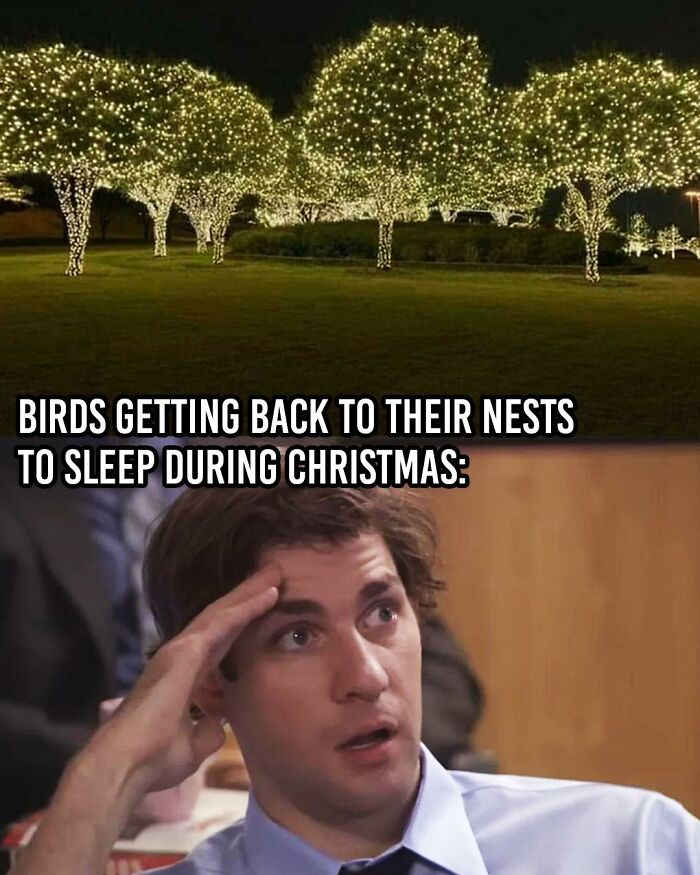 116 satirical memes based on the television series “The Office”
