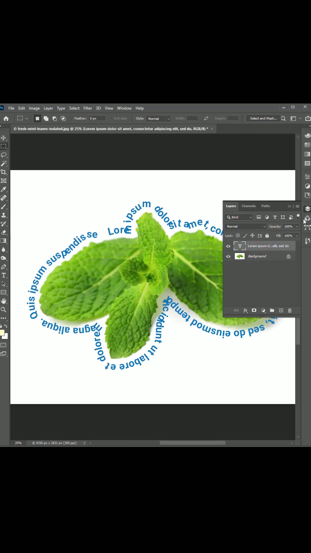 Make path text - Photoshop tips and tricks #TutorialUnderOneMinute