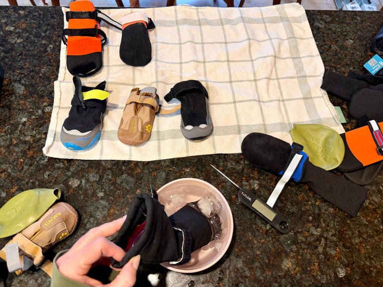 The best dog boots we tested in snow and cold conditions