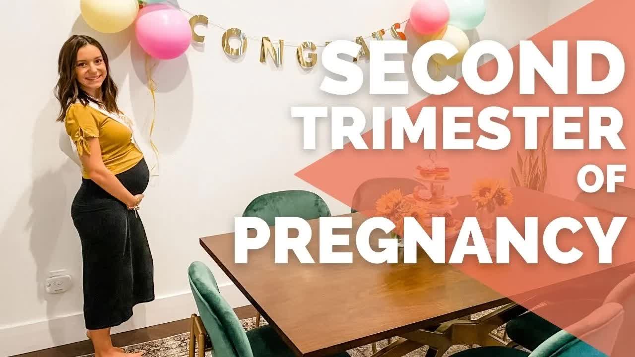 Second trimester pregnancy update! | Symptoms, money, & bump