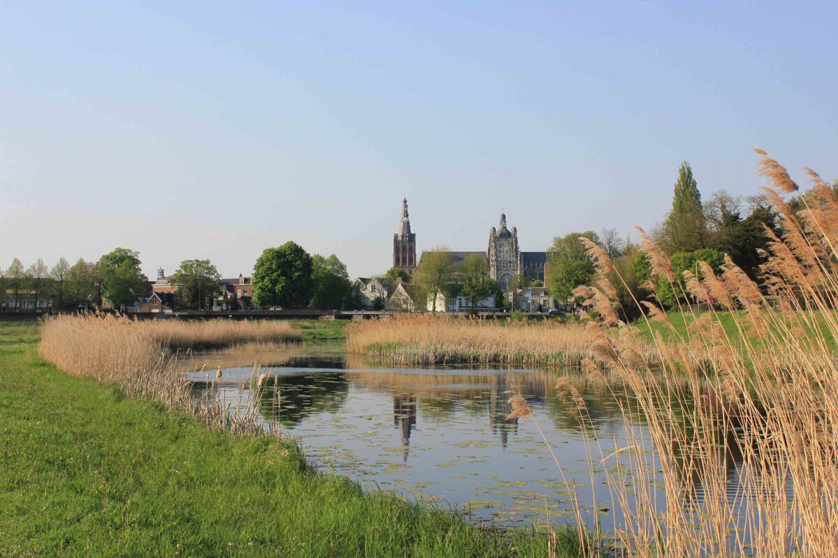 Steden zijn net boeren en willen geld voor de natuur die ze bedreigen