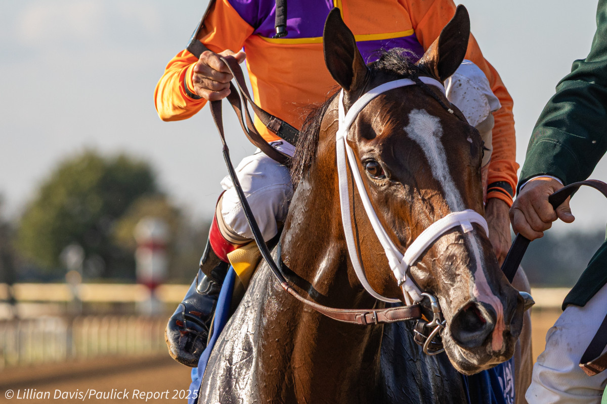 Tommy Jo to receive ‘Time Off,’ return later this year