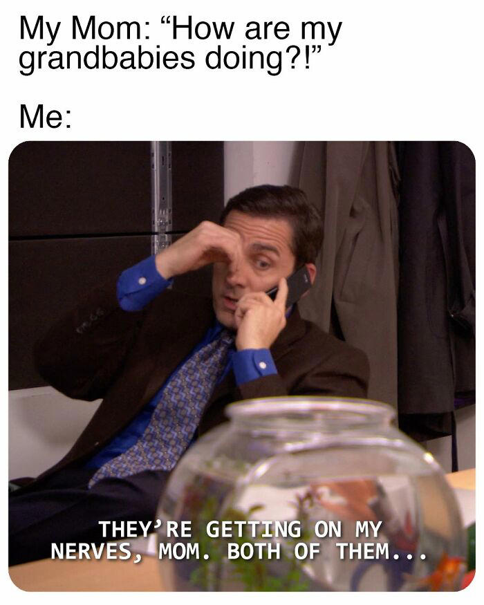 116 satirical memes based on the television series “The Office”