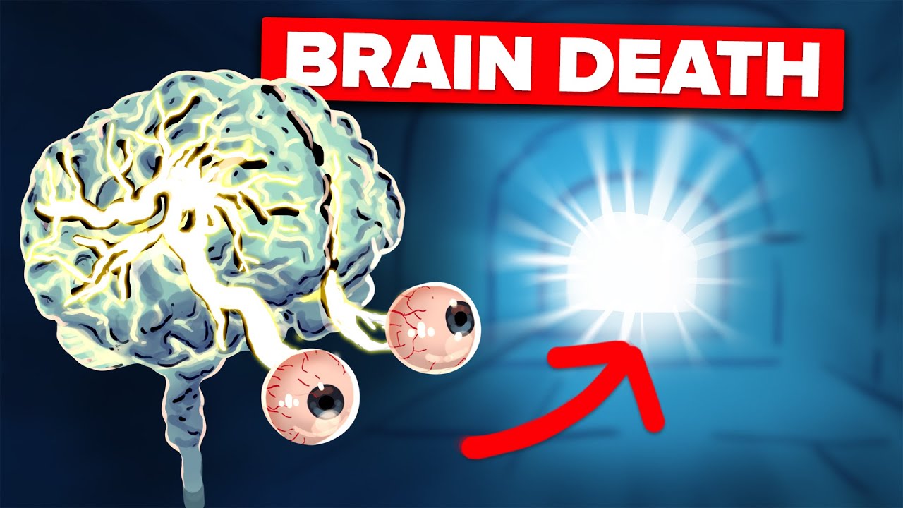 What is happening inside your brain when you die