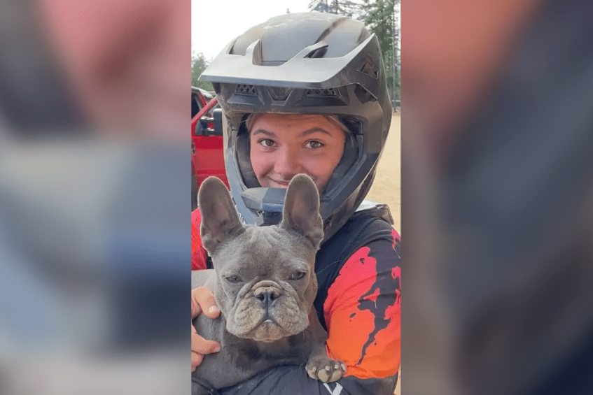 BC teen found dead on Australian beach drowned, not killed by dingoes ...