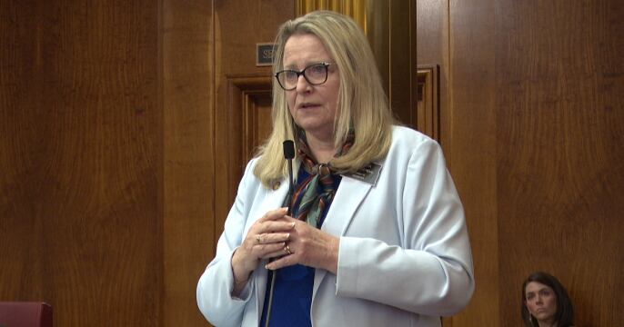 What senators said about free school meal bill