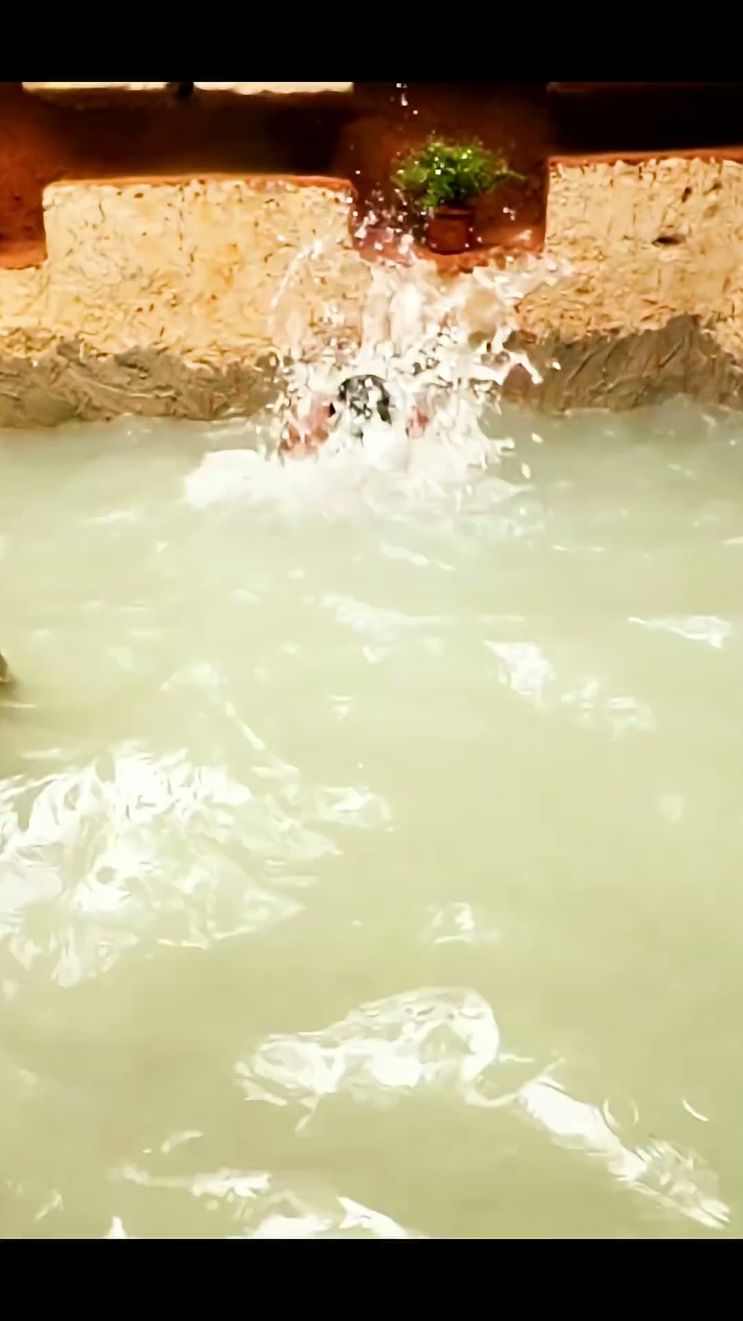 He built a secret pool underground!