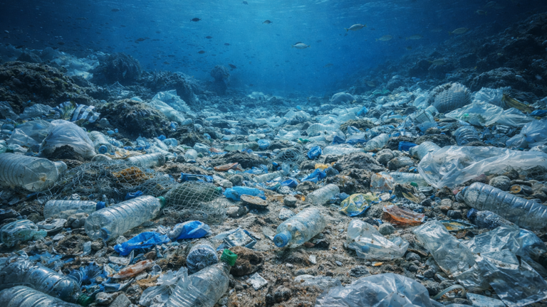 The ocean floor is turning into the world’s biggest plastic dump site ...