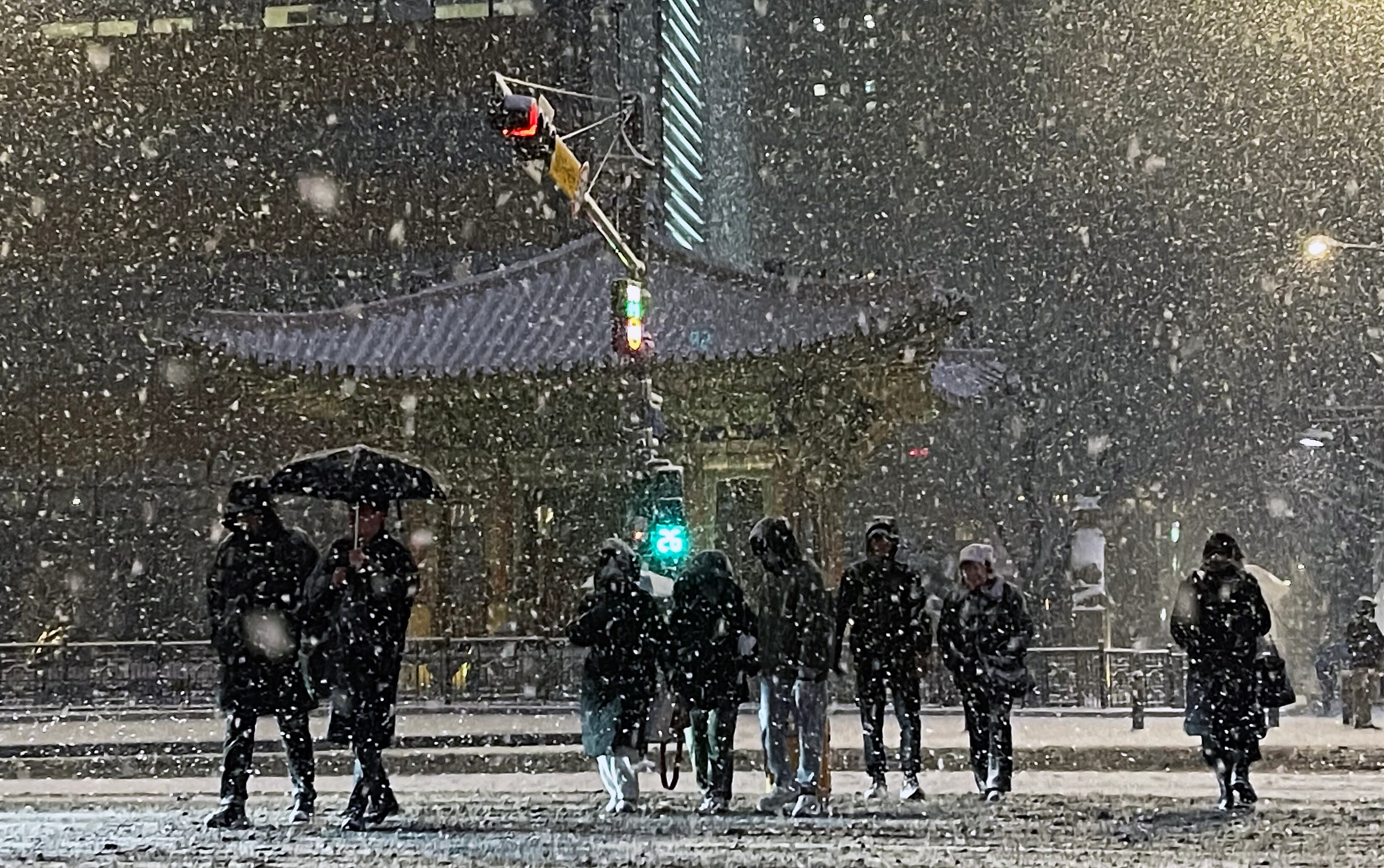 Heavy snow blankets metropolitan area amid extreme cold wave
