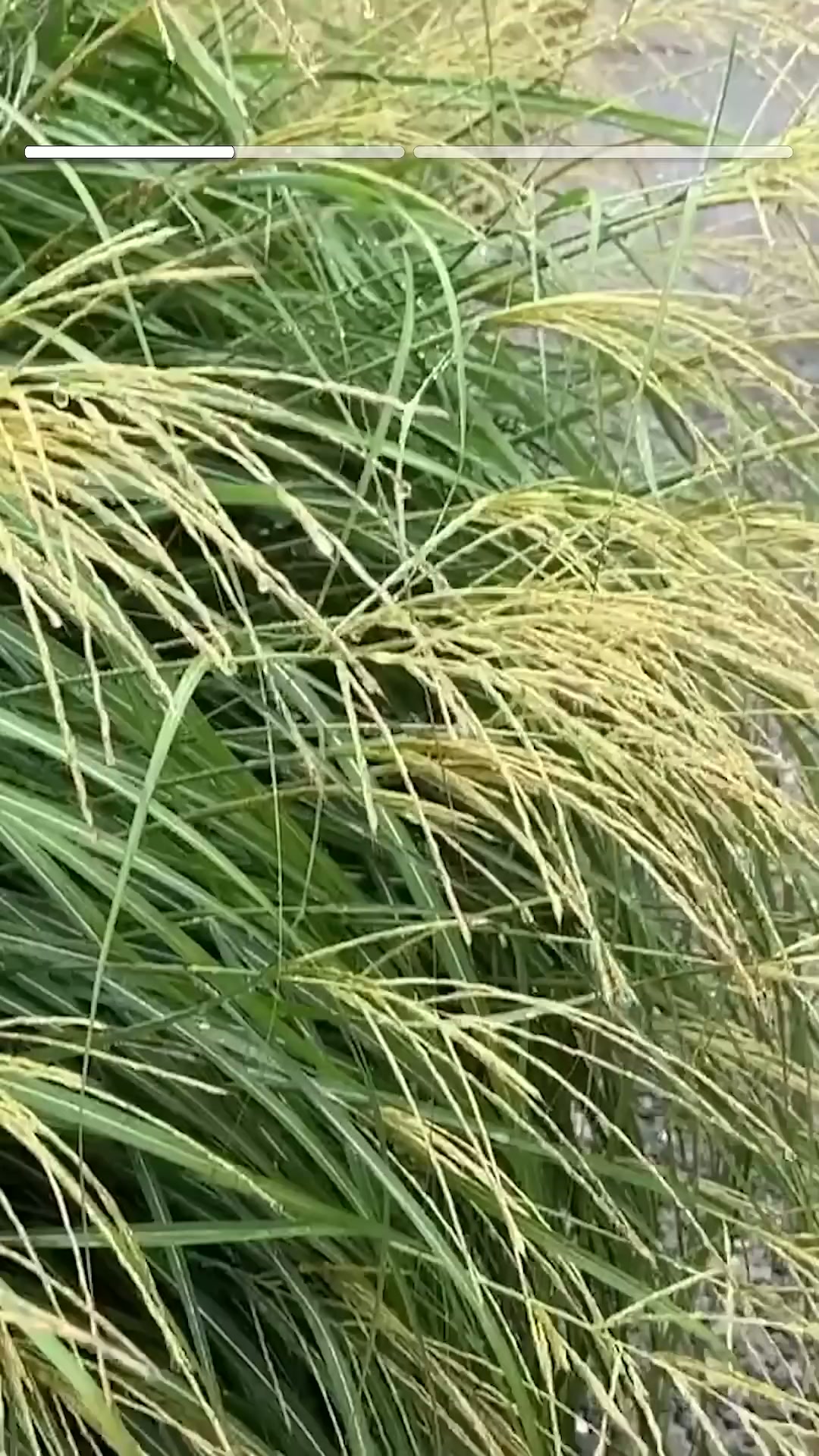 Everyone will be running to the thrift store after seeing these ...