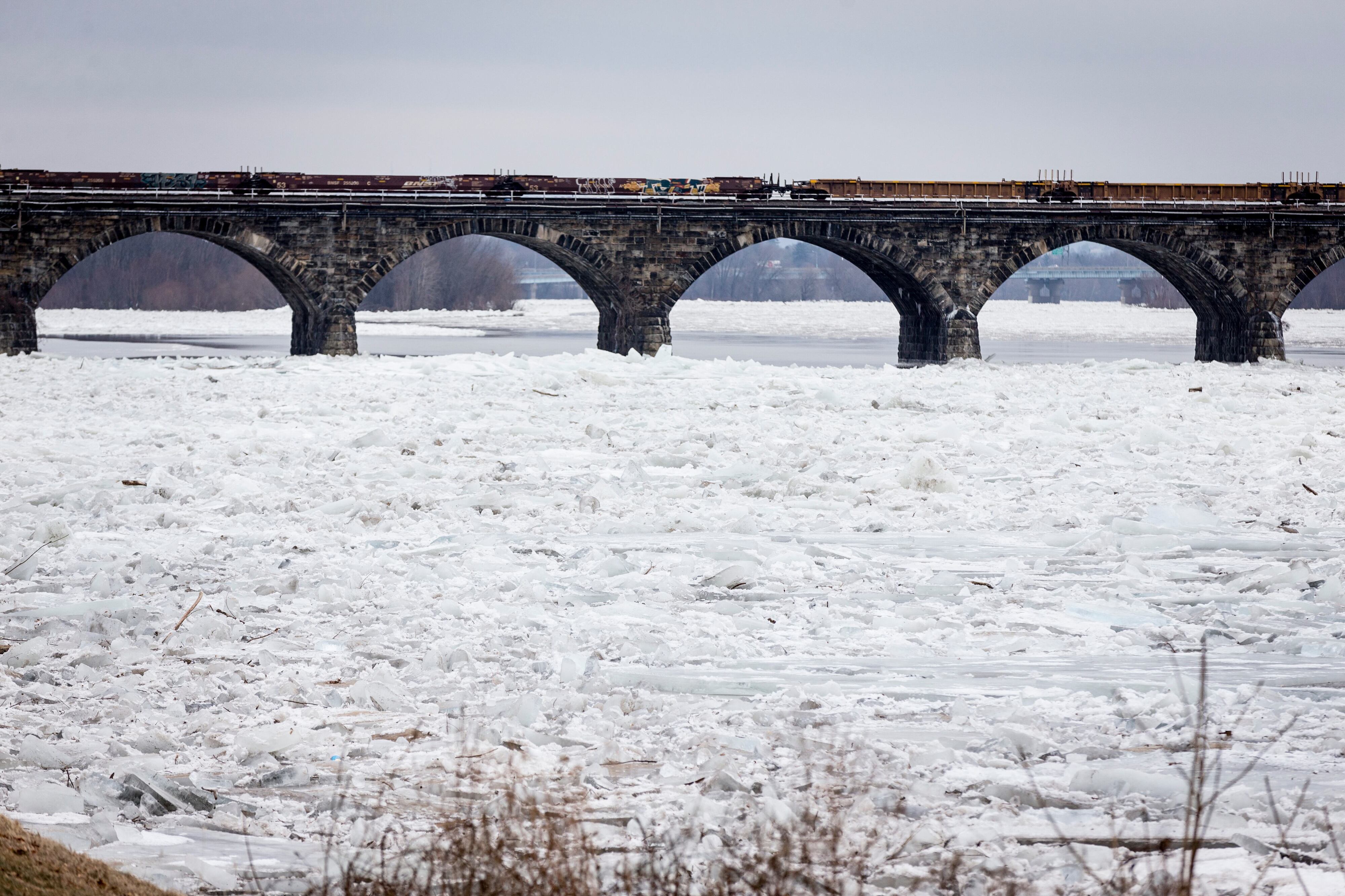 2 children fall through icy Susquehanna River trying to rescue dog ...