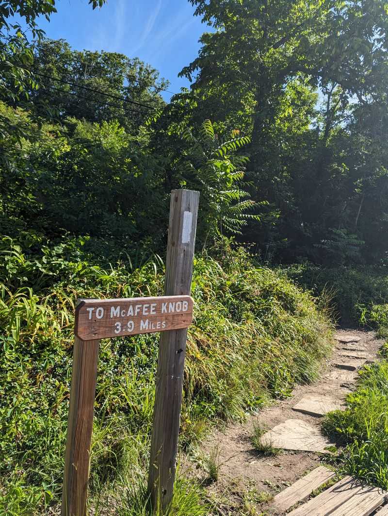 10 Virginia spots locals keep secret and warn against visiting alone