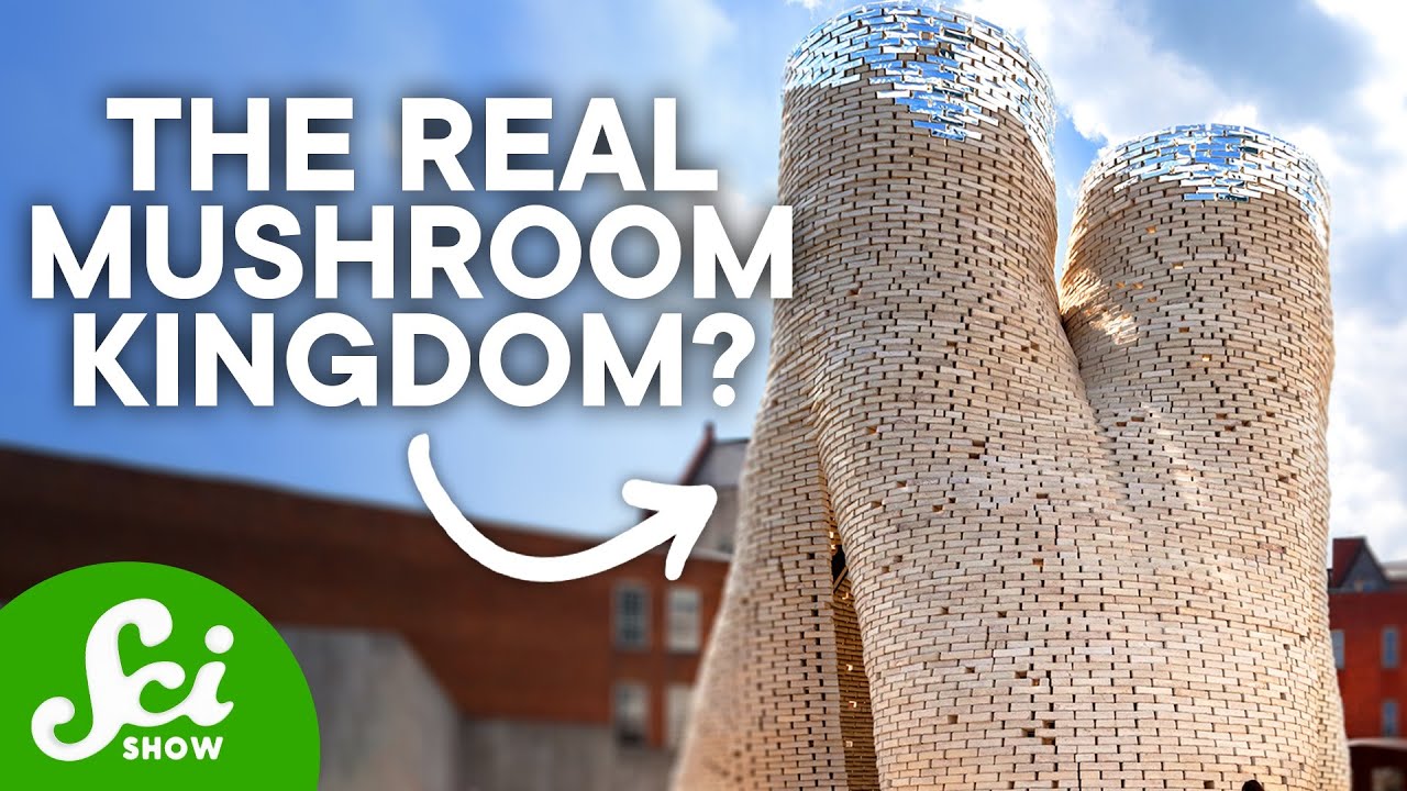 What our buildings will look like in the future