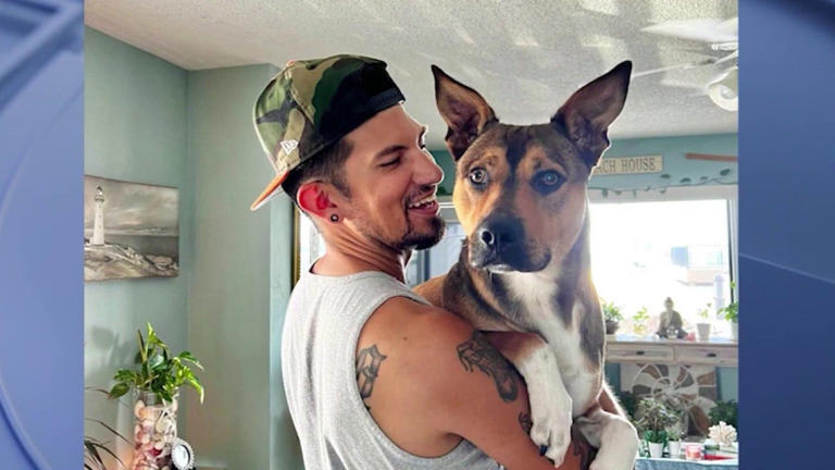 Search underway for dog that fled after owner struck by car in Daytona ...